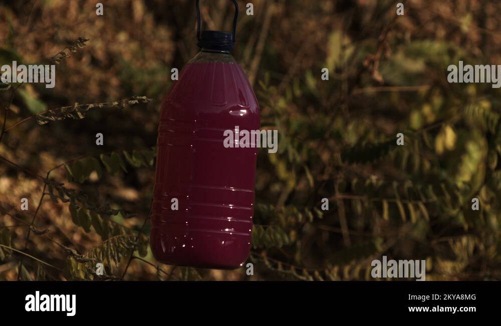 2K Super slow motion. The bullet hits the large bottle of colored water ...