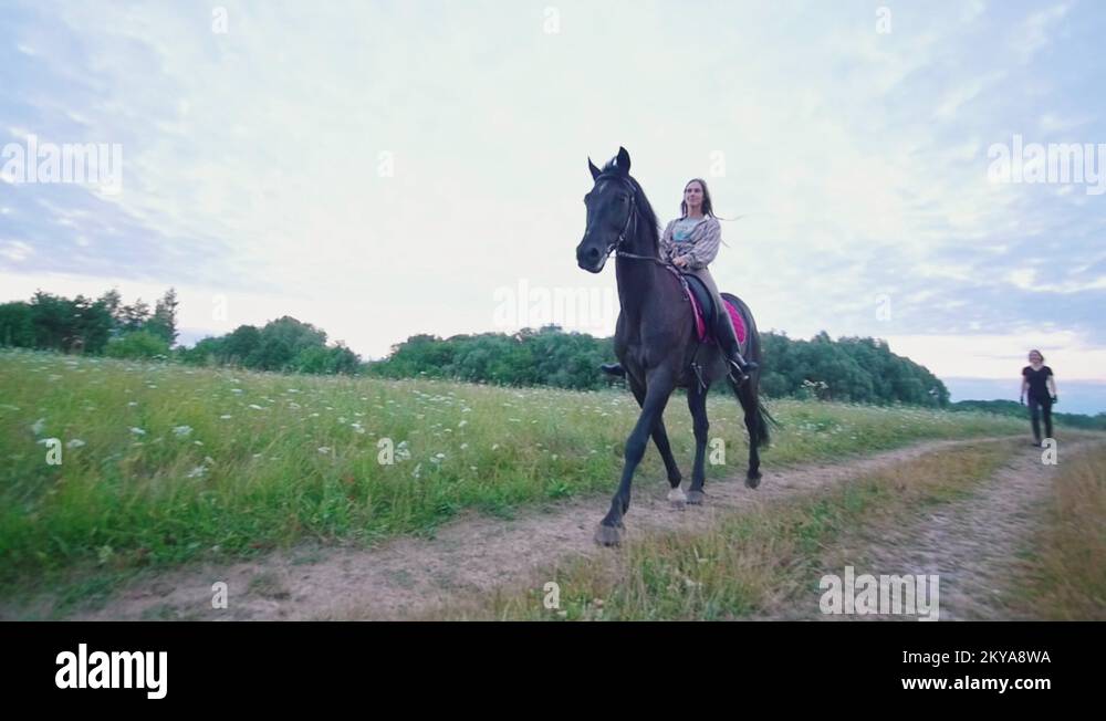 Equestrian path Stock Videos & Footage - HD and 4K Video Clips - Alamy