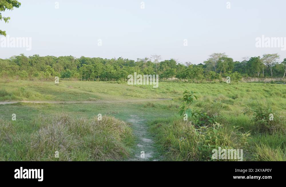 Chitwan nepal aerial Stock Videos & Footage - HD and 4K Video Clips - Alamy