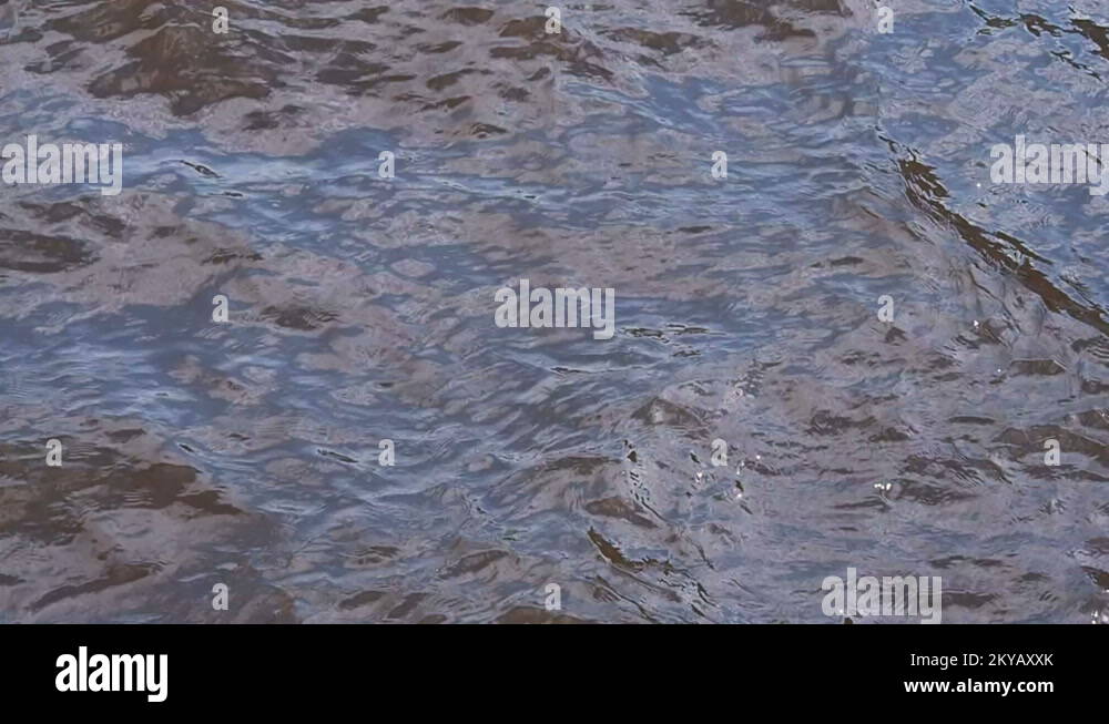 Thailand kuwait Stock Videos & Footage - HD and 4K Video Clips - Alamy