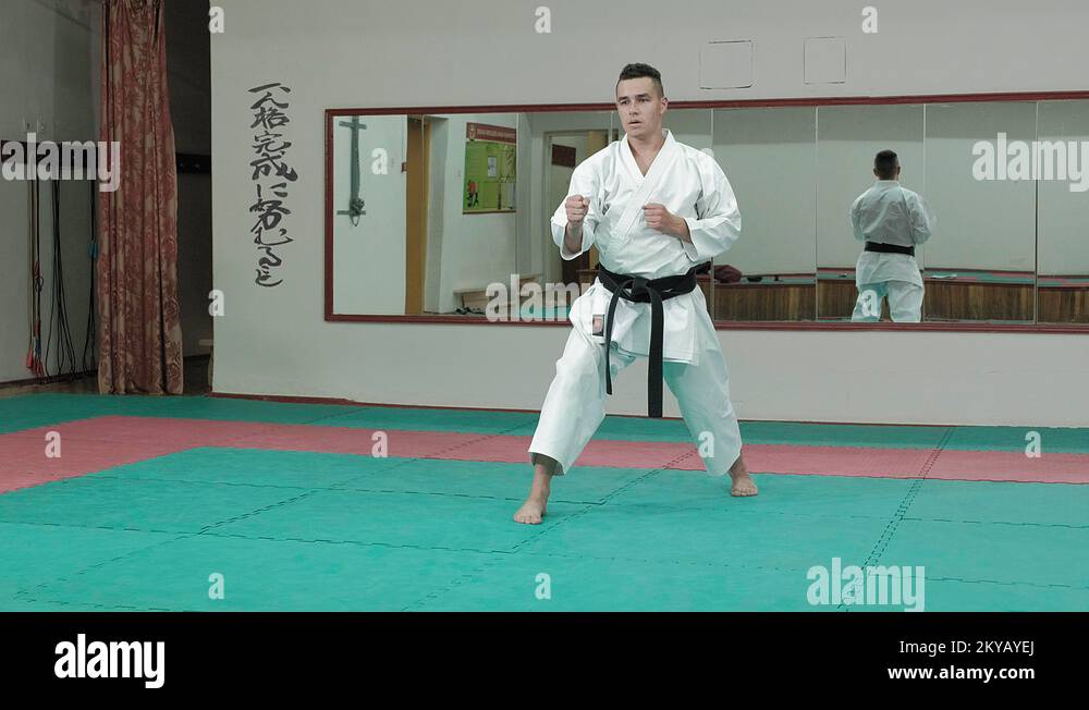 Goju ryu Stock Videos & Footage - HD and 4K Video Clips - Alamy