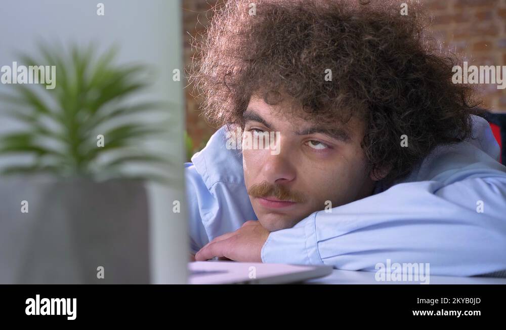 Sleeping funny computer Stock Videos & Footage - HD and 4K Video Clips ...