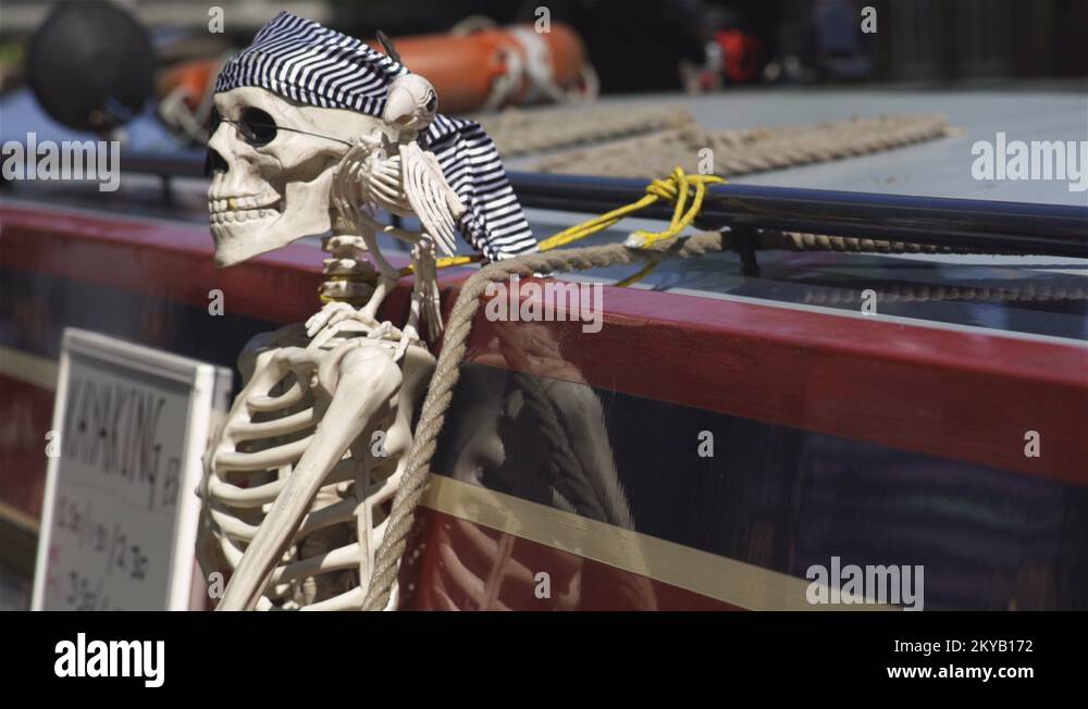 Pirate skull with bandana pirate Stock Videos & Footage - HD and 4K ...