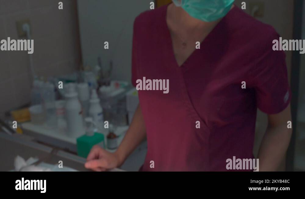 Rabbit doctor Stock Videos & Footage - HD and 4K Video Clips - Alamy