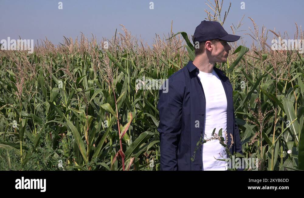 He had been meeting young farmers Stock Videos & Footage - HD and 4K ...