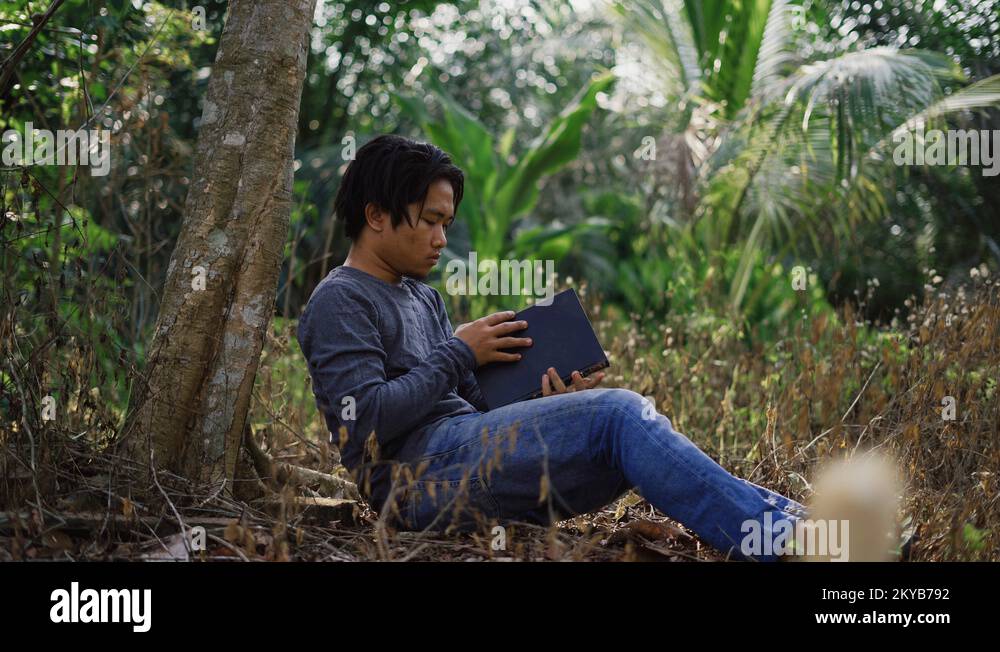 Handsome Asian young man sitting under tree, reading a book Stock Video ...