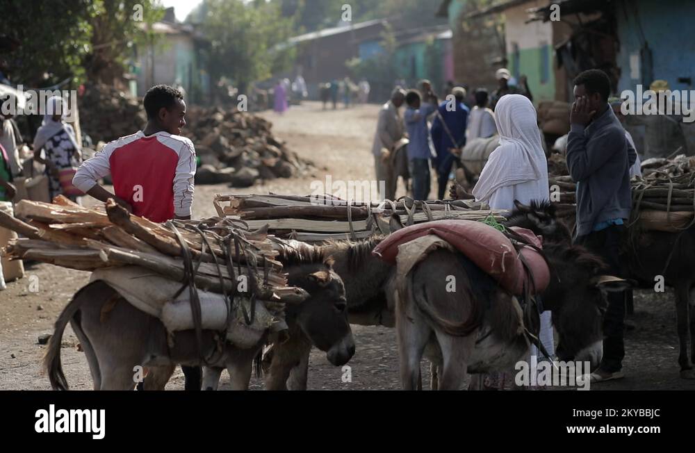 Ethiopia Gondar Marketplace street scene in Mekelle poverty village ...