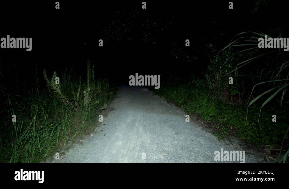 POV walking down pitch black scary path at night Stock Video Footage ...