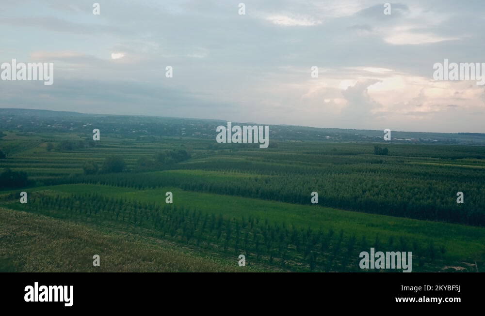 Country field birds eye view Stock Videos & Footage - HD and 4K Video ...