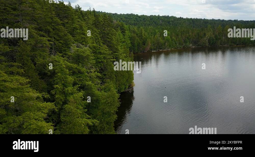 Adirondack park forest Stock Videos & Footage - HD and 4K Video Clips ...