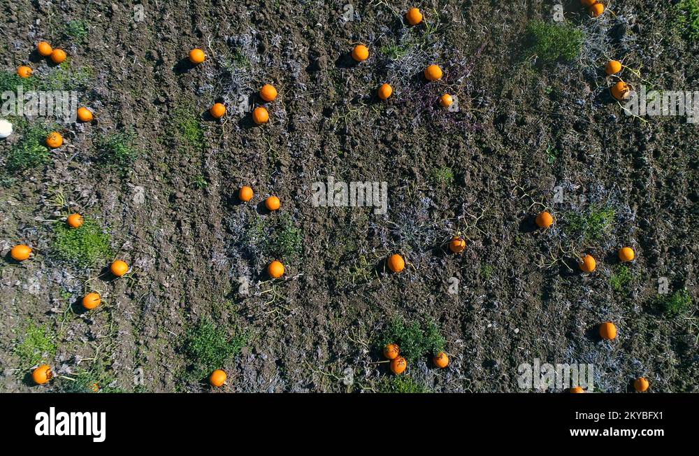 Above overview Stock Videos & Footage - HD and 4K Video Clips - Alamy