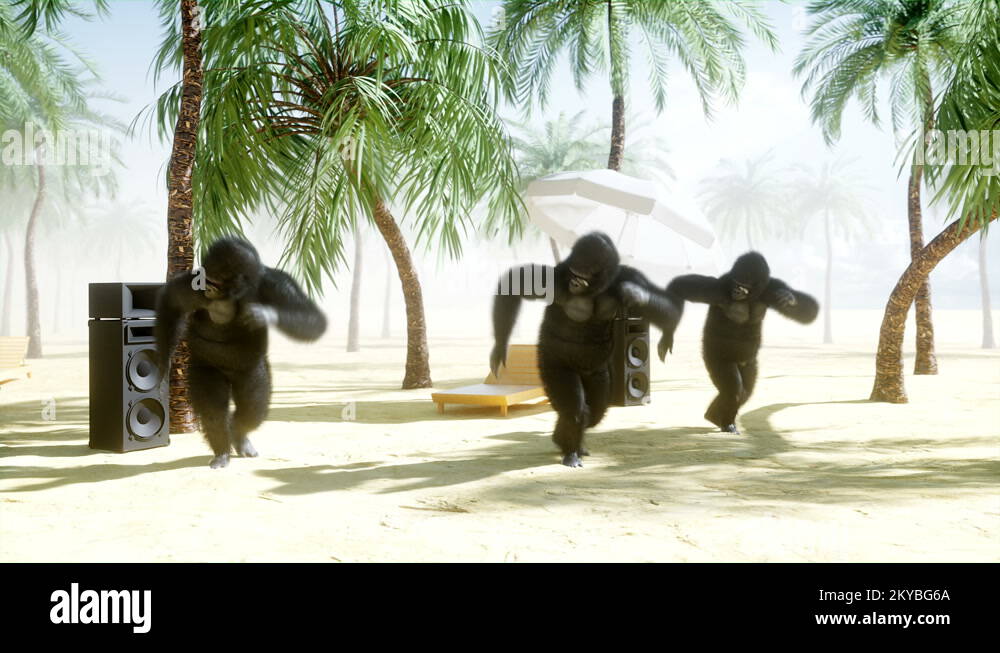 Funny gorillas and monkeys dancing on sunny seaside. Tourism and rest concept Stock Video ...