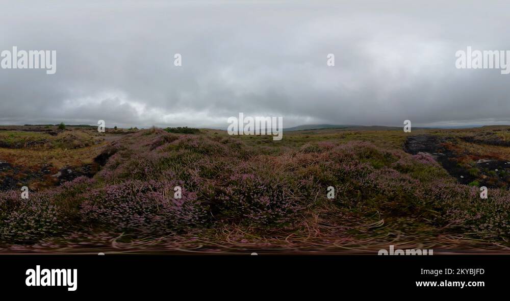 Ogonnelloe Stock Videos & Footage - HD and 4K Video Clips - Alamy