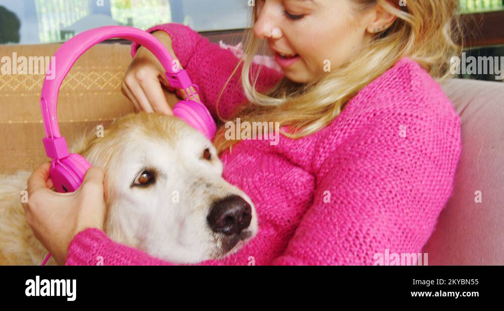 Woman mounting headphone on dogs ear on sofa 4k Stock Video Footage - Alamy