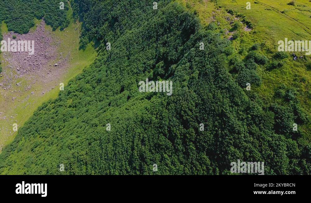 A flat stone at a slope Stock Videos & Footage - HD and 4K Video Clips ...