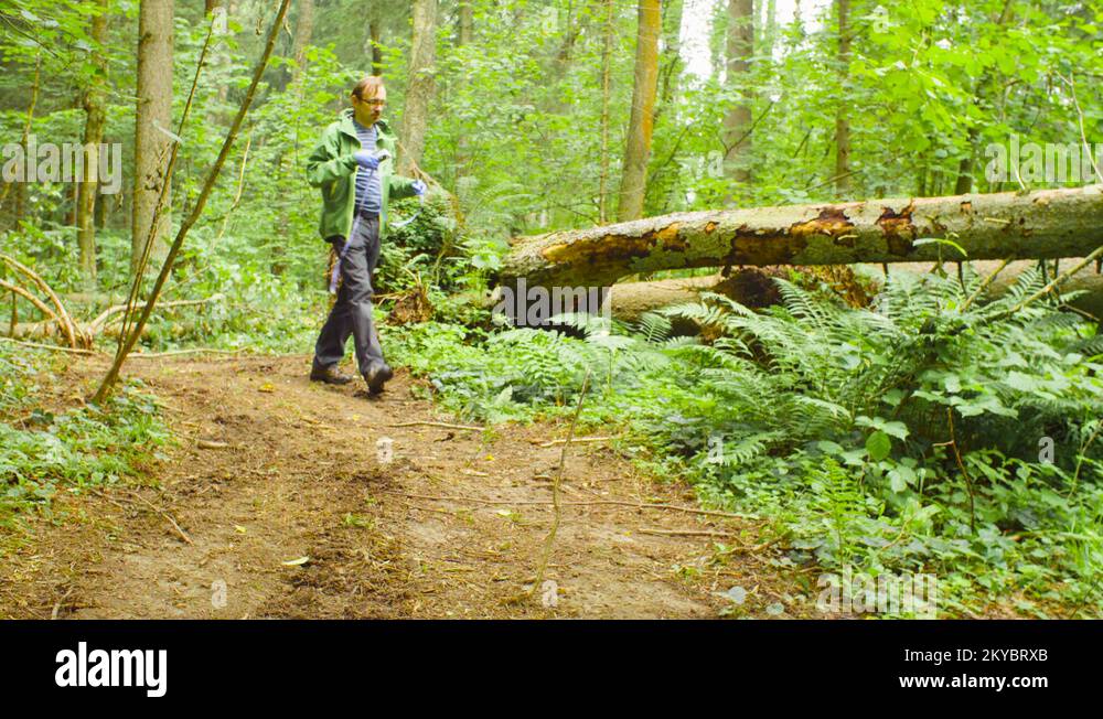 Measuring a tree Stock Videos & Footage - HD and 4K Video Clips - Alamy