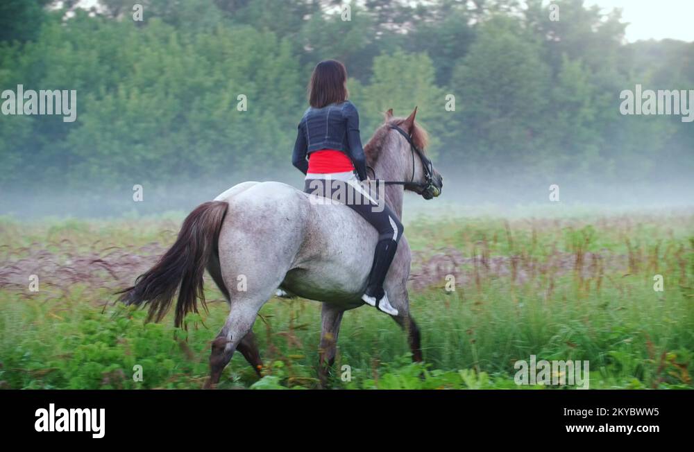 Young rider riding a horse jumps to the fog on the background of ...