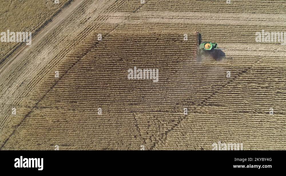 Harvesting field maize in Stock Videos & Footage - HD and 4K Video ...