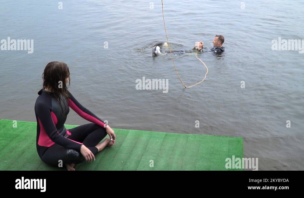 Beautiful girl in a wetsuit is sitting on a pier in the rain Stock ...