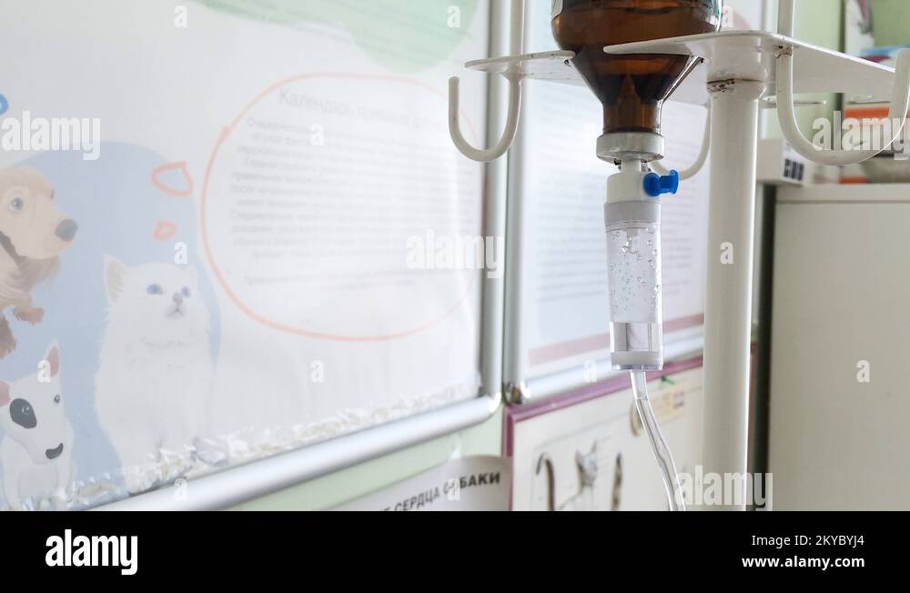 Iv drip emergency medicine Stock Videos & Footage - HD and 4K Video ...