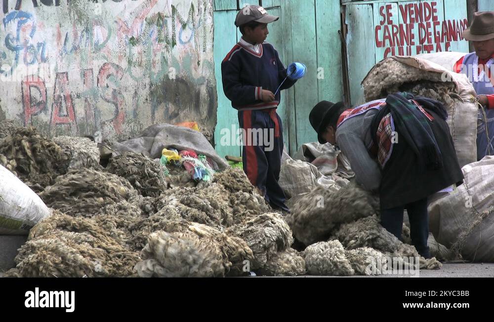 Bags of wool Stock Videos & Footage - HD and 4K Video Clips - Alamy