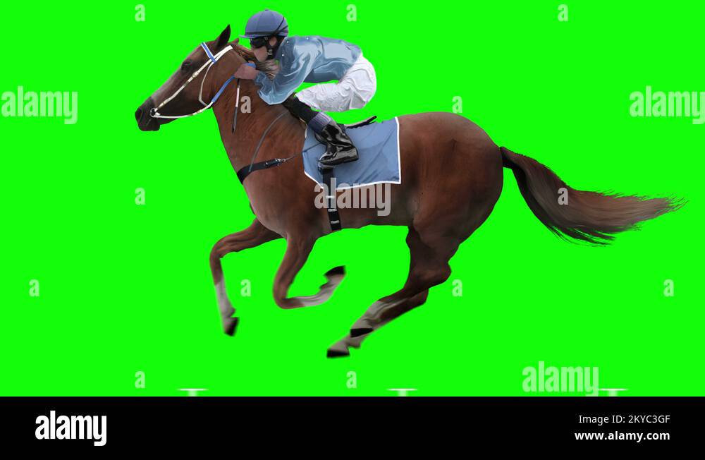 Horse Racing Red and Jockey. Green screen Stock Video Footage - Alamy