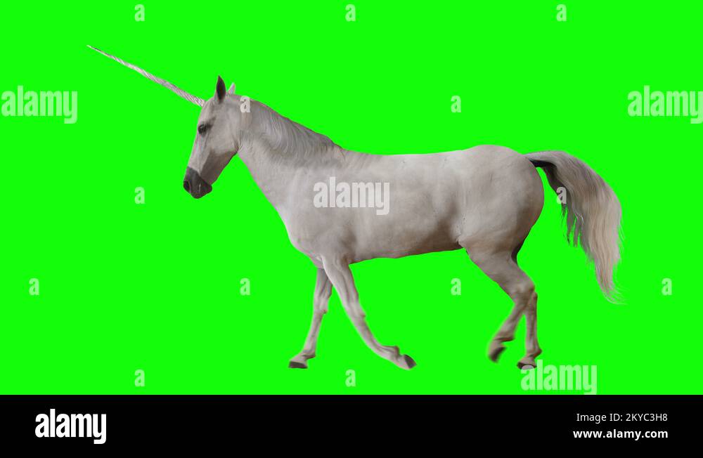 Unicorn walking. Isolated and cyclic animation. Green screen Stock ... Unicorn walking. Isolated and cyclic animation. Green screen Stock ...