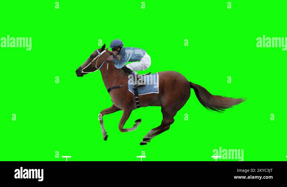 Horse and jockey Stock Videos & Footage - HD and 4K Video Clips - Alamy
