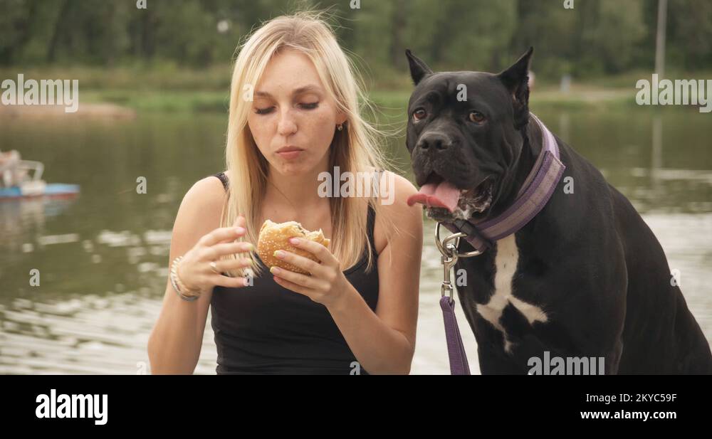 Attractive girl eating with pleasure a fresh burger and feeds her dog ...
