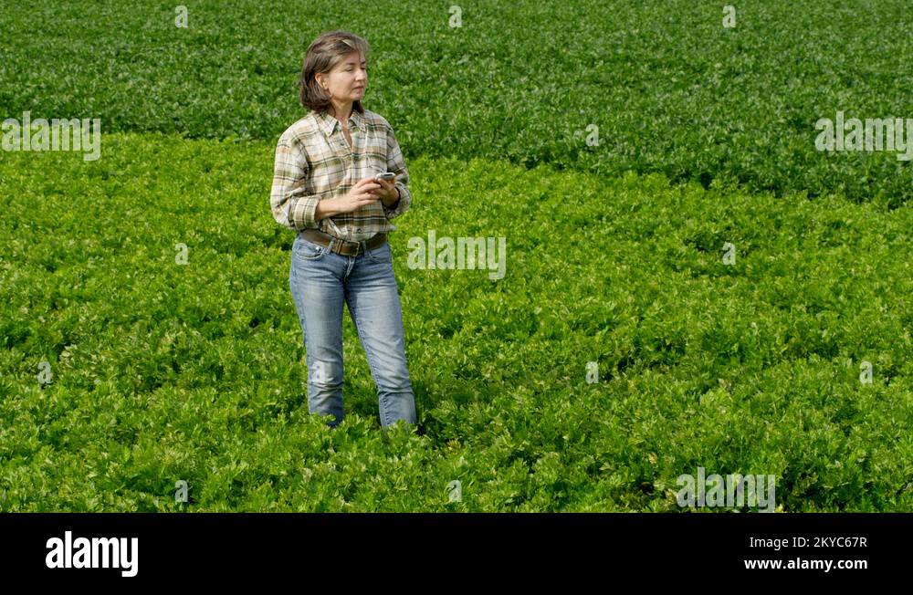 Portable information technology Stock Videos & Footage - HD and 4K ...