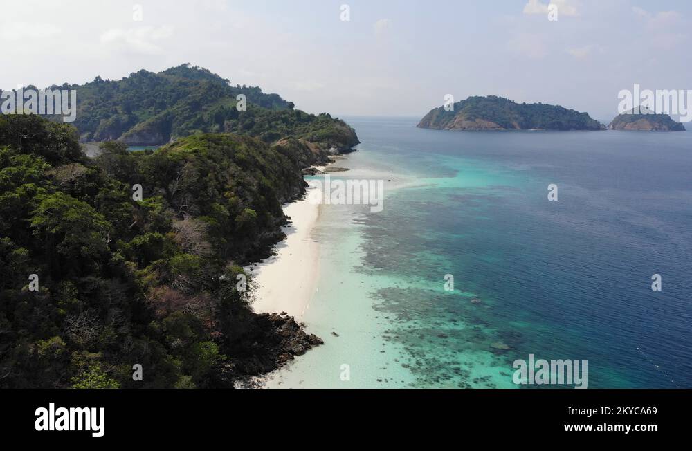 Rich environment Stock Videos & Footage - HD and 4K Video Clips - Alamy