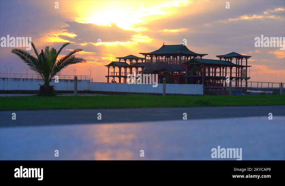 Emperor palm Stock Videos & Footage - HD and 4K Video Clips - Alamy