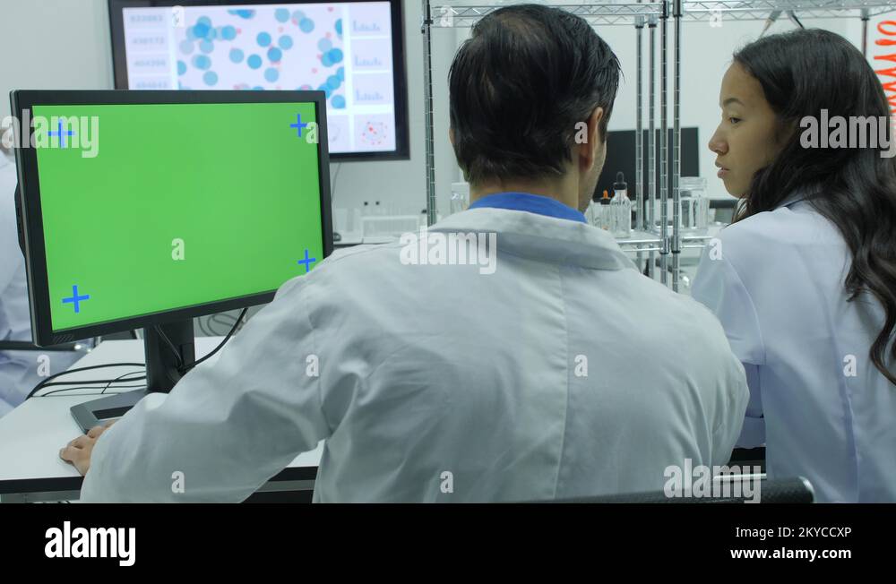 Two medical research scientists looking at green screen in the modern ...