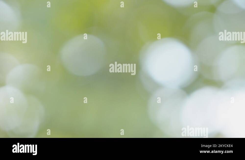 Blurred vision face Stock Videos & Footage - HD and 4K Video Clips - Alamy