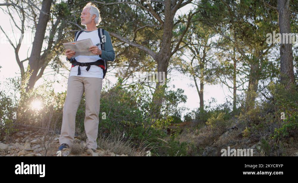 Man in forest map Stock Videos & Footage - HD and 4K Video Clips - Alamy