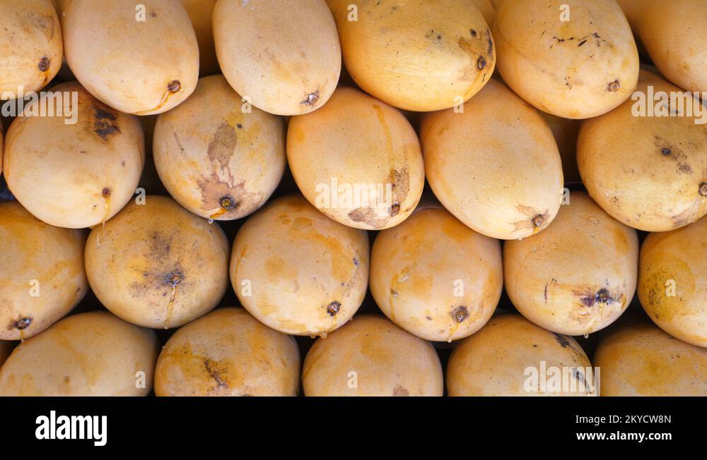 Southeast asian mangoes Stock Videos & Footage - HD and 4K Video Clips ...