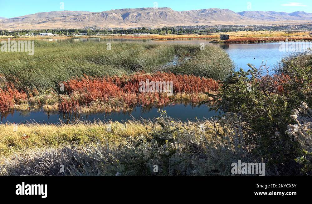 Patagonian ecosystem Stock Videos & Footage - HD and 4K Video Clips - Alamy