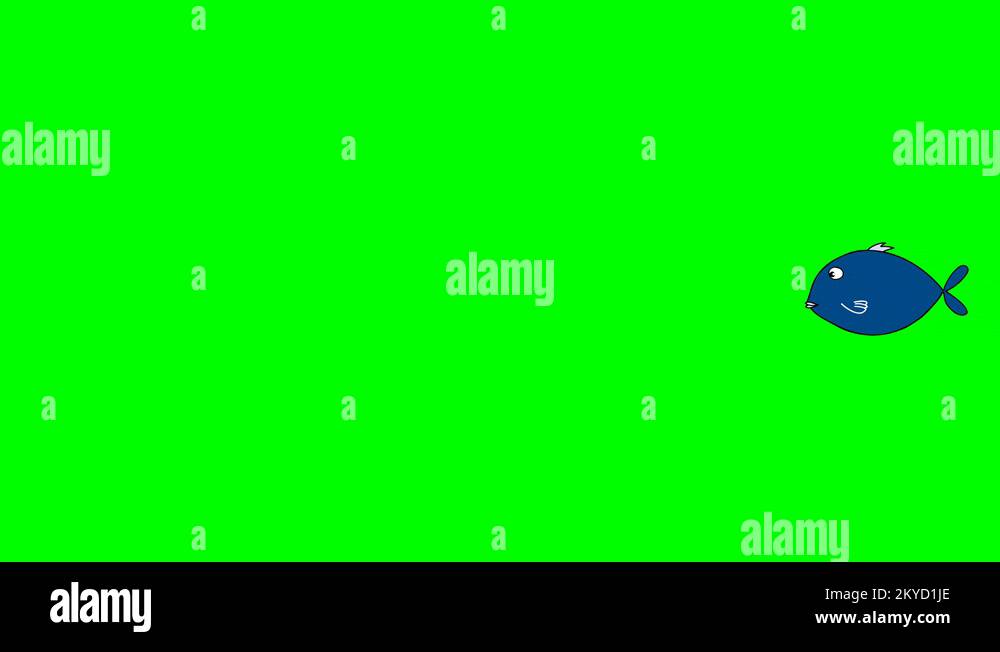 Big fish eats the small fish Stock Videos & Footage - HD and 4K Video ...