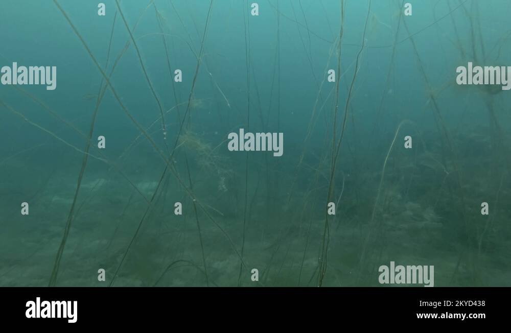 Deadmansropes Stock Videos & Footage - HD and 4K Video Clips - Alamy