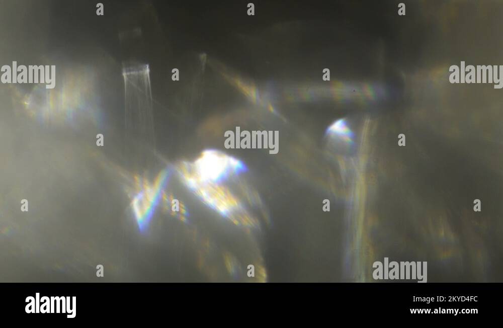 Lens flare with ghost Stock Videos & Footage - HD and 4K Video Clips ...