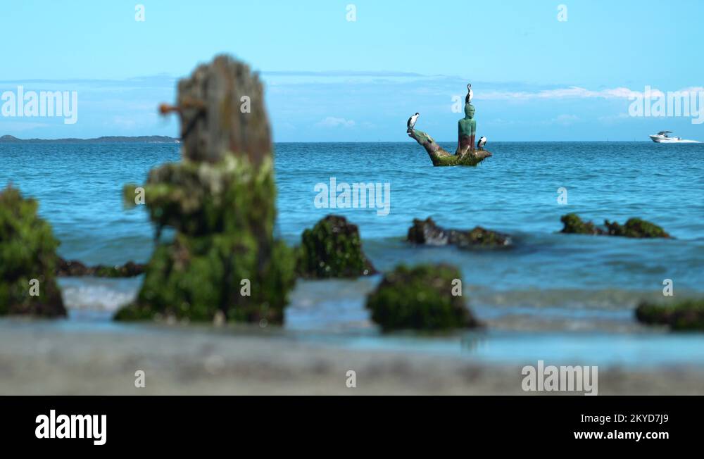 Wreck marking Stock Videos & Footage - HD and 4K Video Clips - Alamy