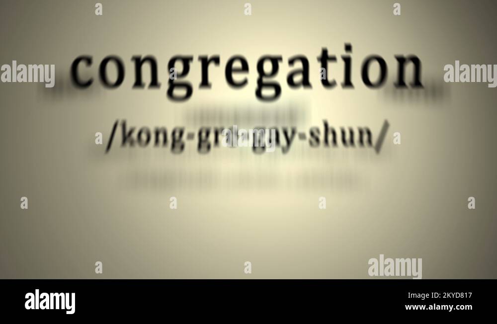 Conclave and convocation Stock Videos & Footage - HD and 4K Video Clips ...