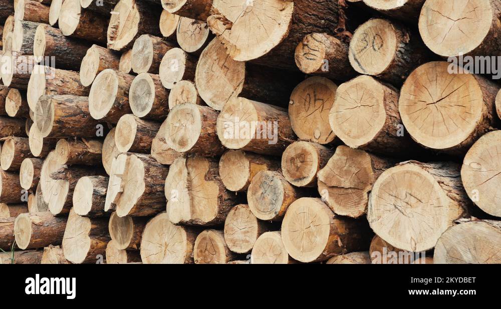 Lumber pine timber trunks Stock Videos & Footage - HD and 4K Video ...