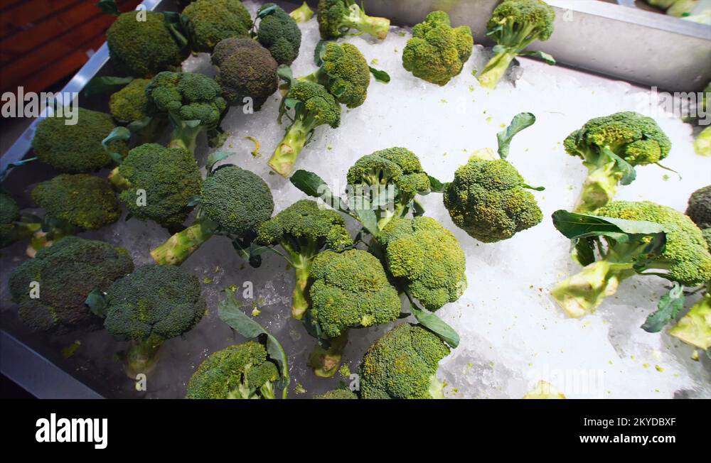 Vegetables in a frozen cube of ice Stock Videos & Footage - HD and 4K ...