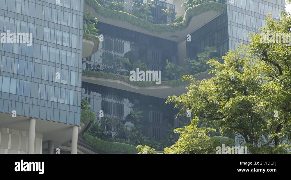 Feng shui buildings Stock Videos & Footage - HD and 4K Video Clips - Alamy