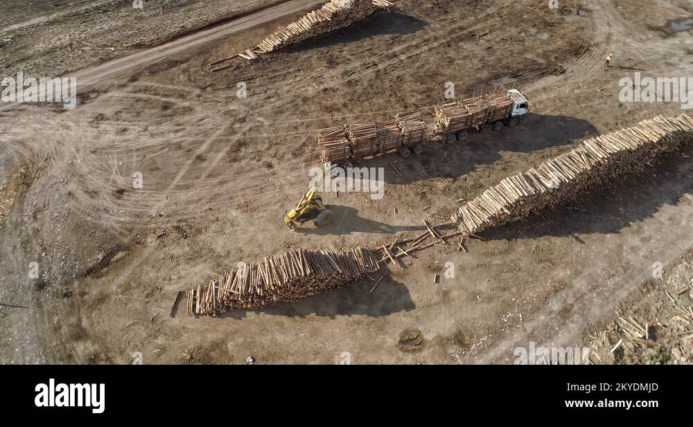 Loading logs from logging truck Stock Videos & Footage - HD and 4K ...