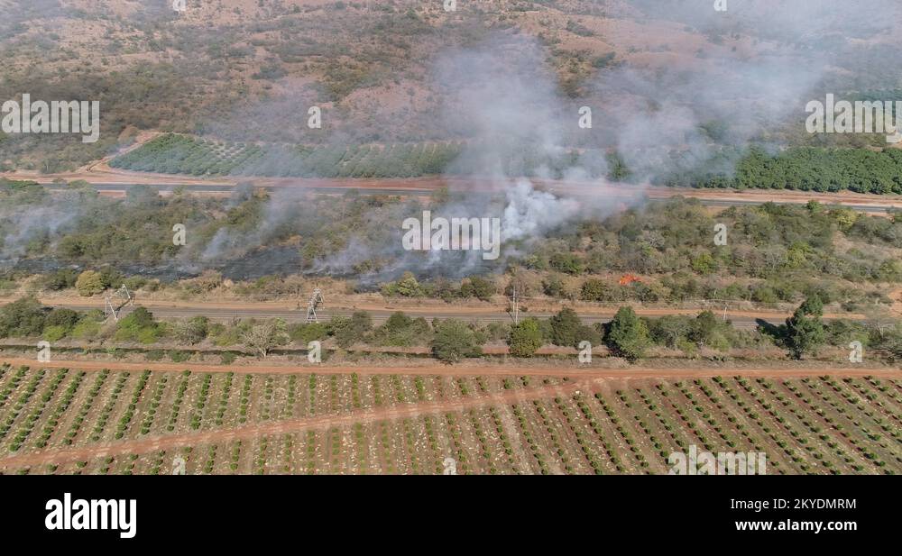 Farm bush track Stock Videos & Footage - HD and 4K Video Clips - Alamy