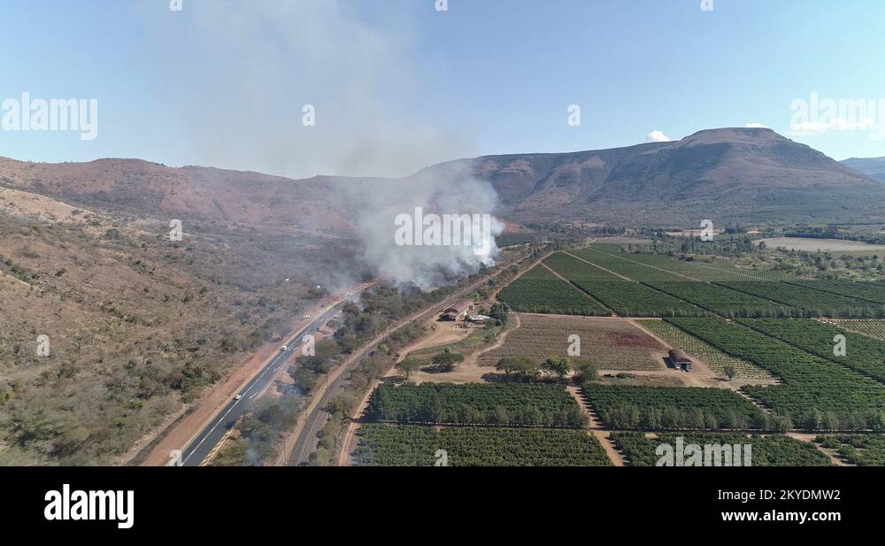 Farm land plantation next to road with smoke rising from the bush ...