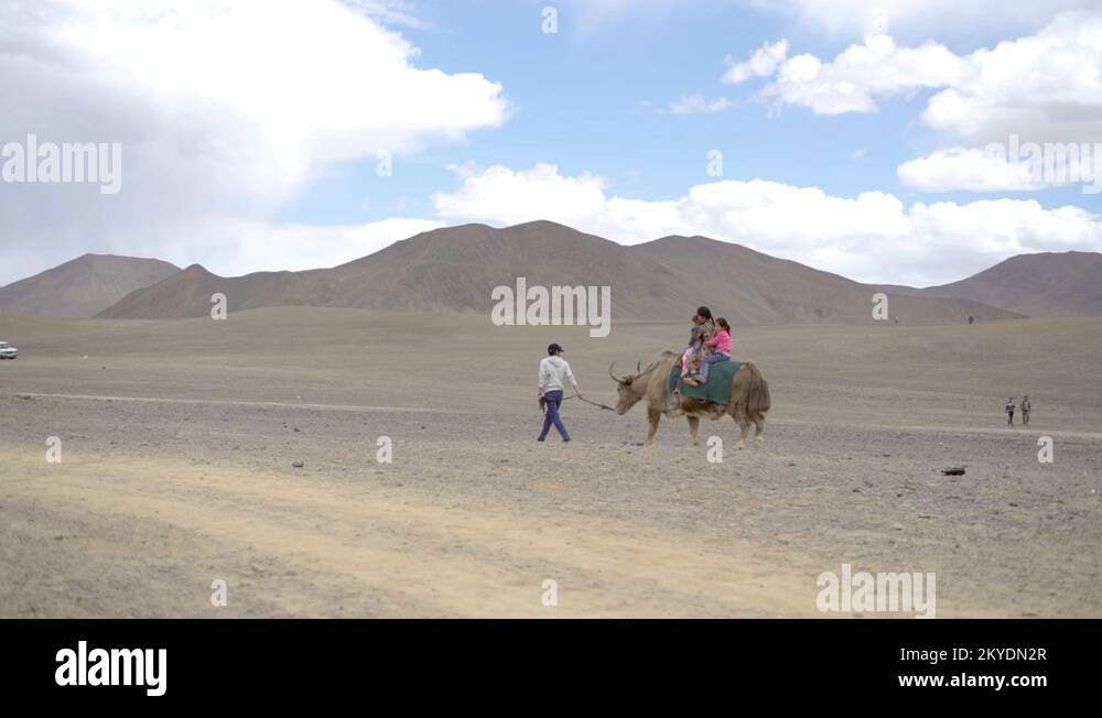 Tourist riding yak in Stock Videos & Footage - HD and 4K Video Clips ...