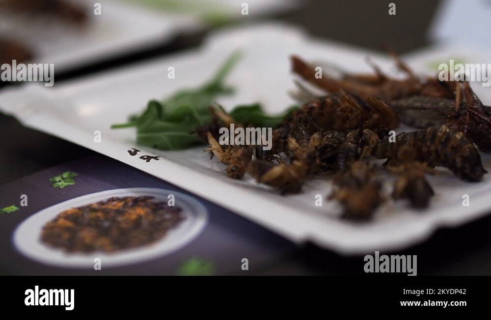 Delicious insects Stock Videos & Footage - HD and 4K Video Clips - Alamy